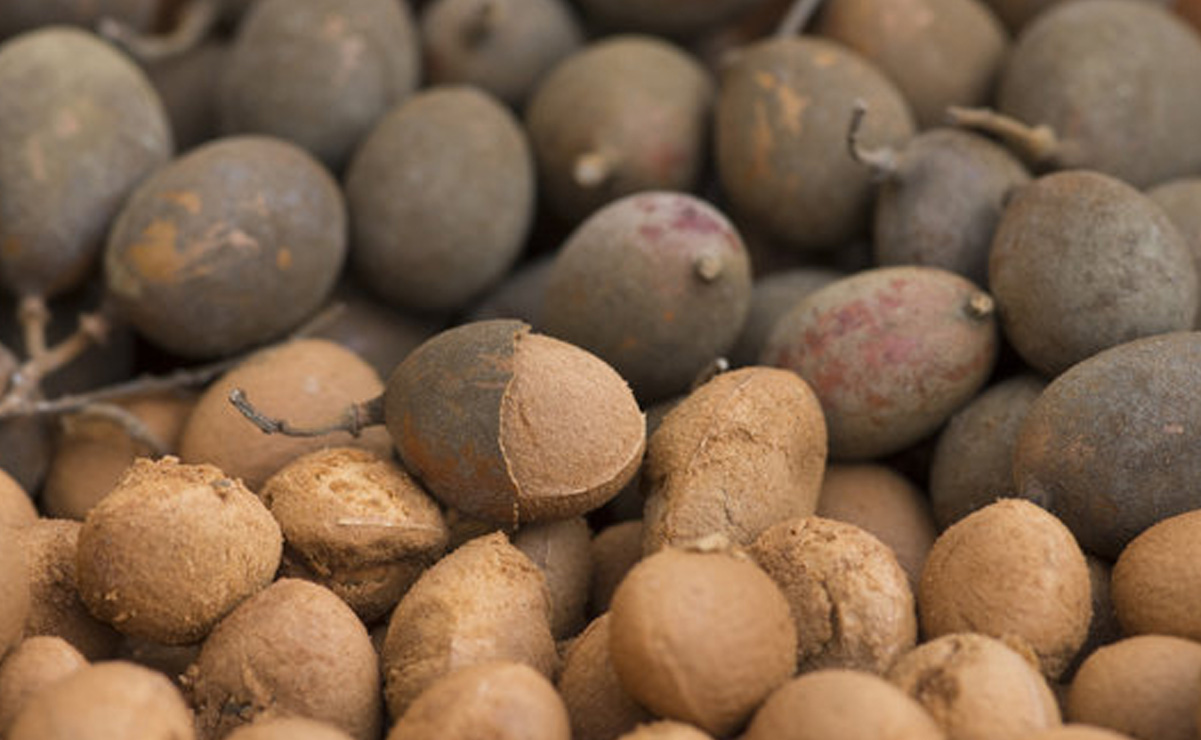 Guapaque, fruto exótico que deleita paladares – DDT